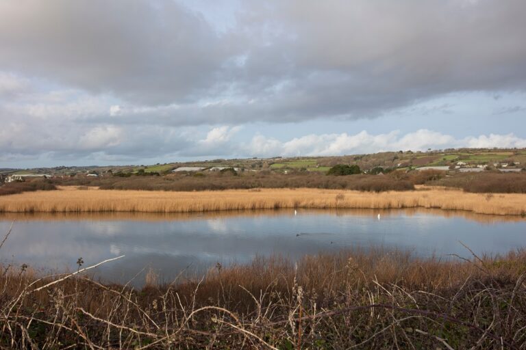 Sustainability - St Aubyn Estates